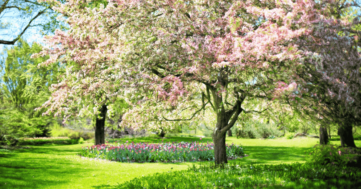 Stimulating Spring Activities for Seniors - BoomersHub Blog